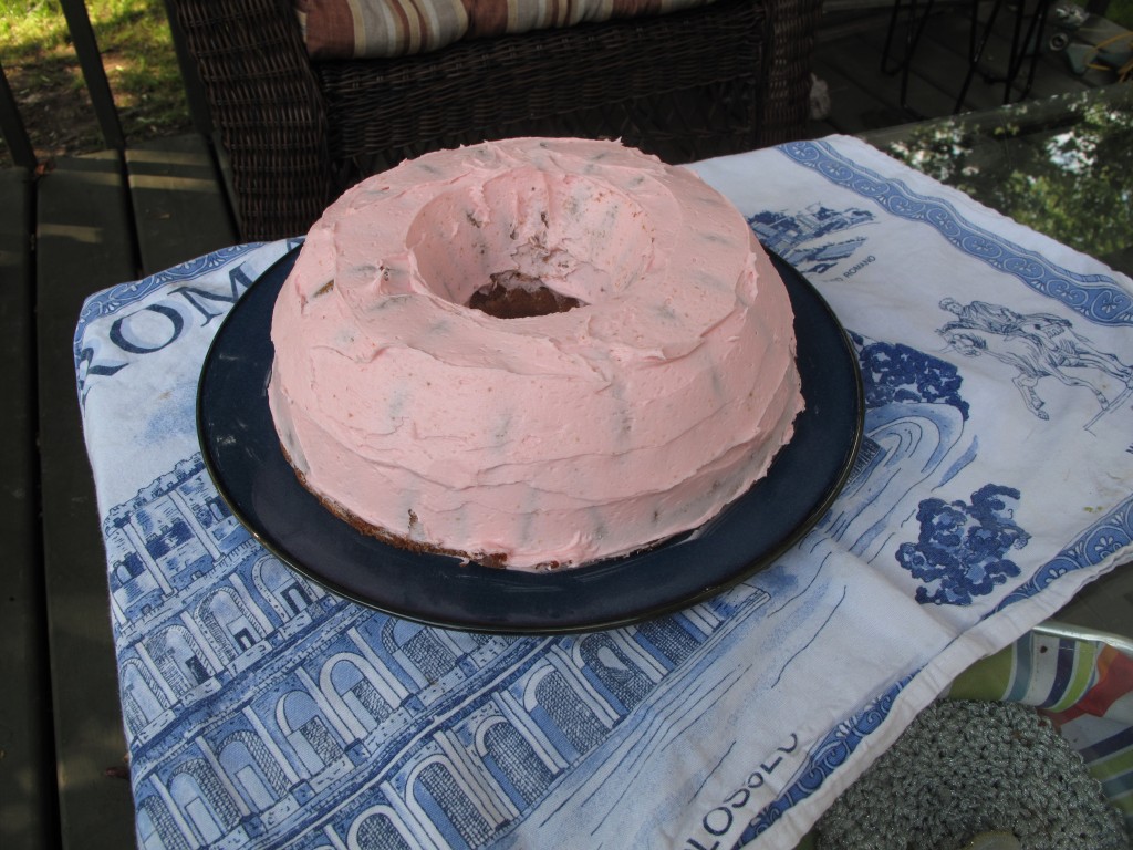 Cake for my Birthday! – Annie's Recovery & Knitting Blog